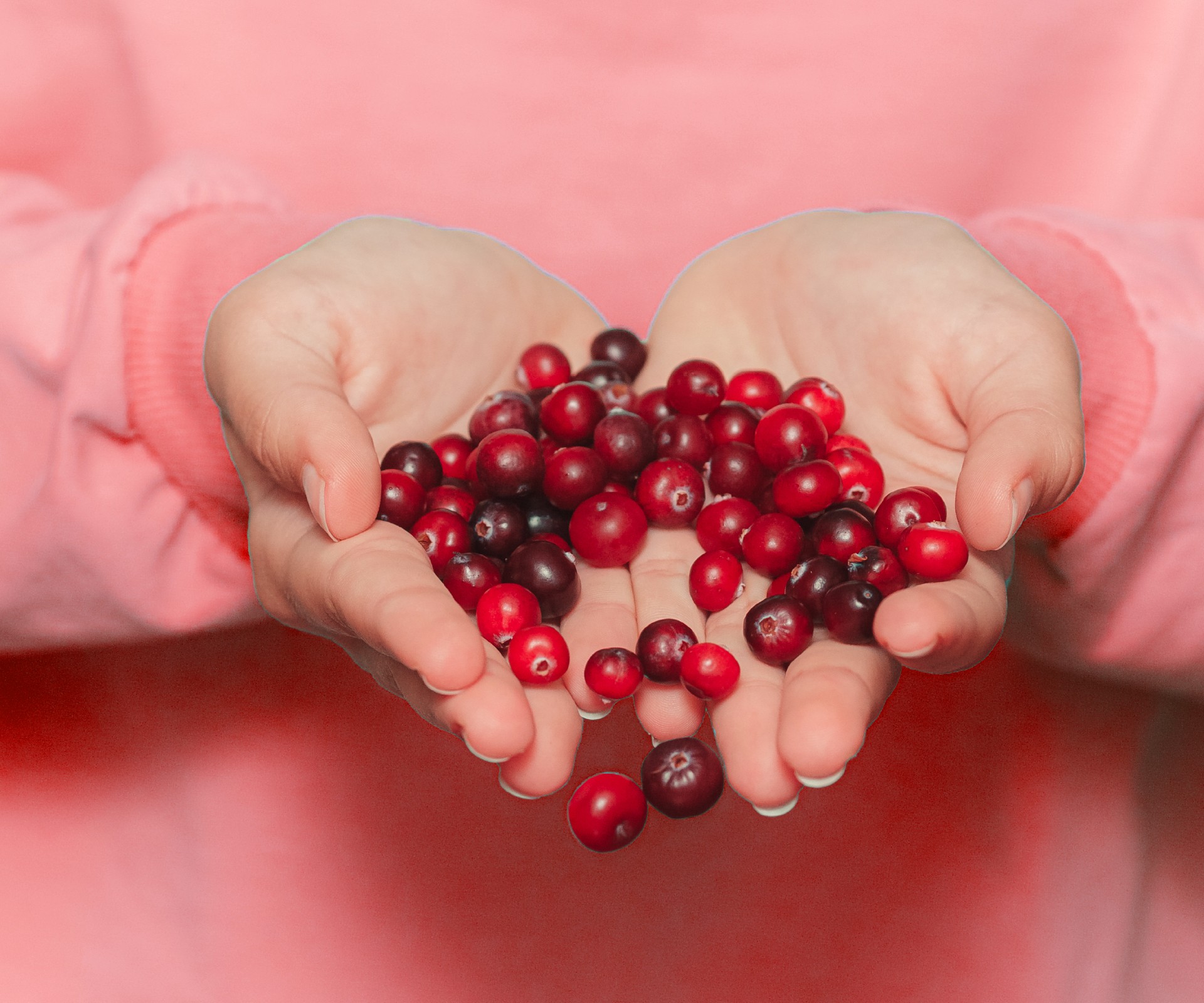 Urinary Support for Life on the Go - Herbs of Gold